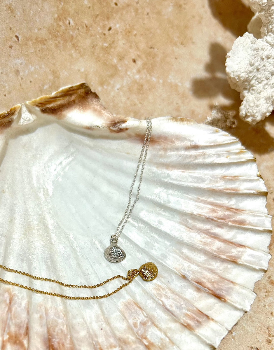 Clam Shell Necklace – Anegada